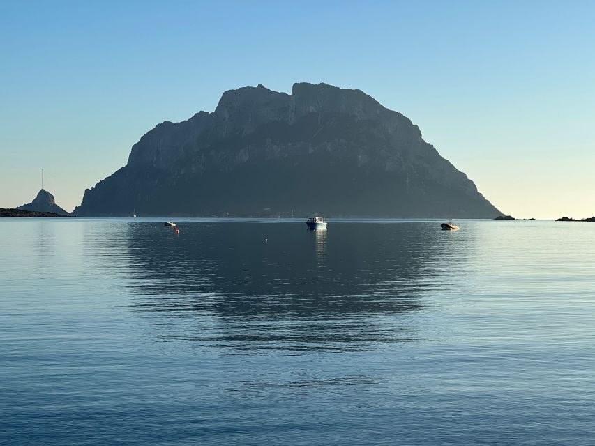 Olbia: Diving in Tavolara Marine Park in Sardinia - The Itinerary in Detail: What You Can Expect