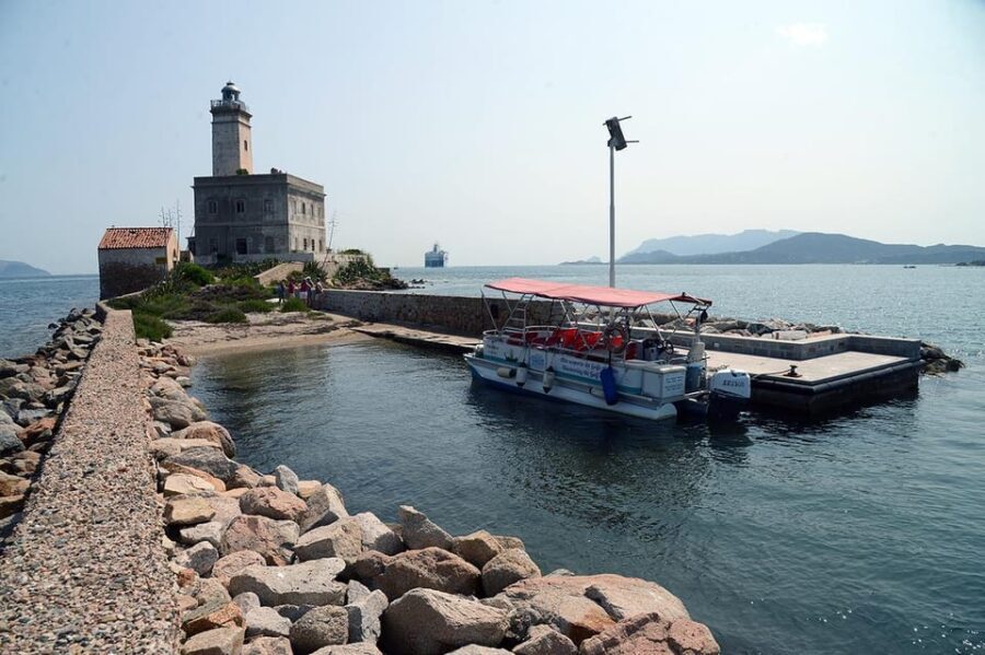 Olbia: Gulf of Olbia boat tour - What Travelers Say