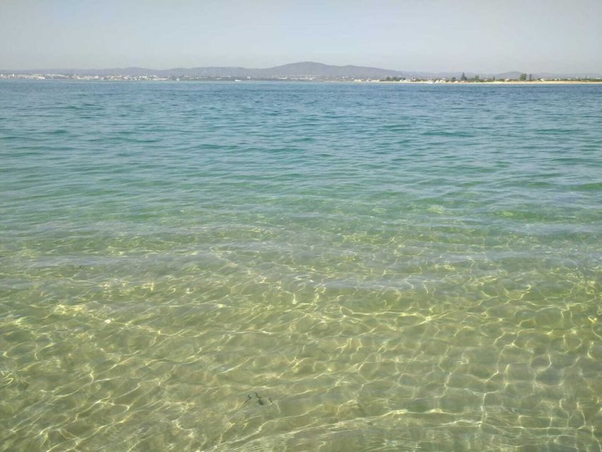 Olhão: Private Boat Tour to Ria Formosa - Who Is This Tour Best For?