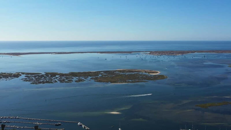 Olhão: Ria Formosa National Park Boat Cruise - Authentic Experiences and Highlights Based on Reviews