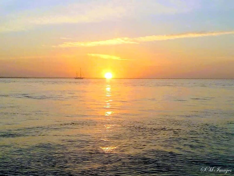 Olhão: Ria Formosa Tour - Who Will Love This Tour?