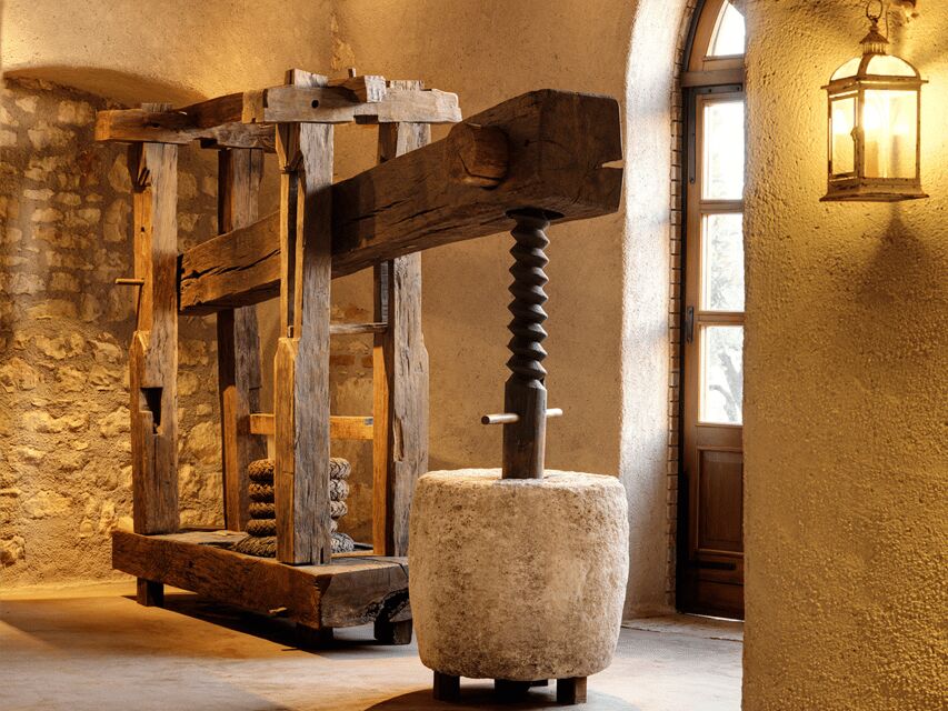 Olive Mill Tour and Tasting in the Verona Countryside - The Itinerary in Detail