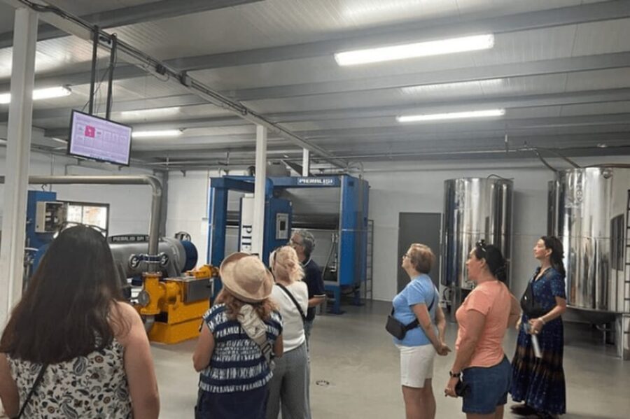 Olive Oil Factory from Sevilla Private Tour - Overview of the Tour