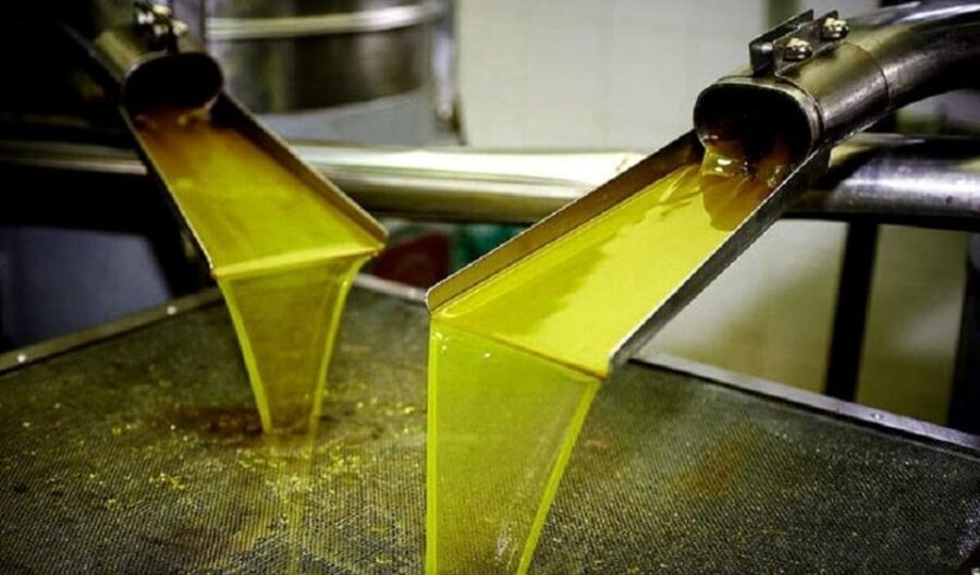 Olive oil Tasting 3-hour Trip from Chania Souda Cruise Port - FAQ