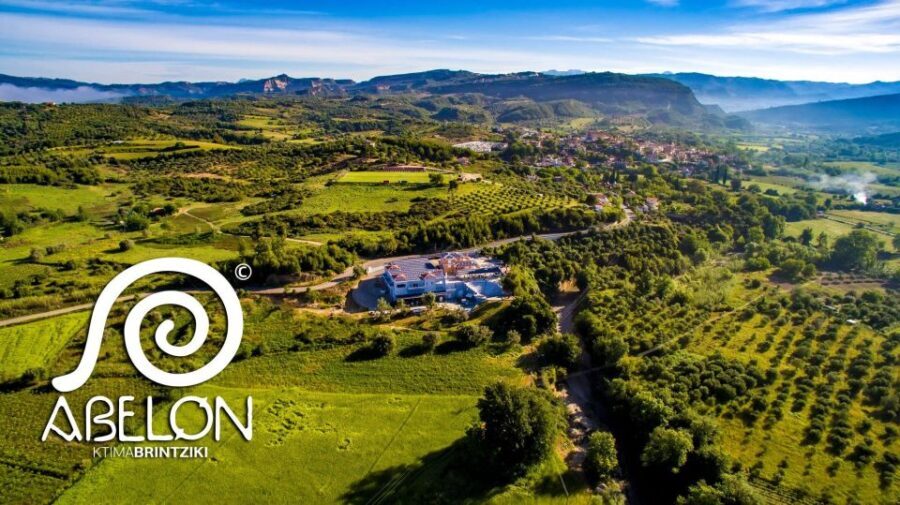 Olympia Treasures: Private Oil, Honey and Wine Tasting Tour - Why Choose This Tour?