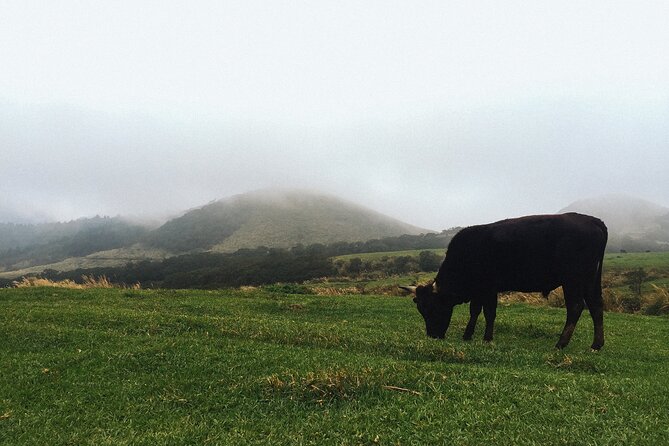 One Day Hike around Taipei's Yangmingshan National Park - Key Points