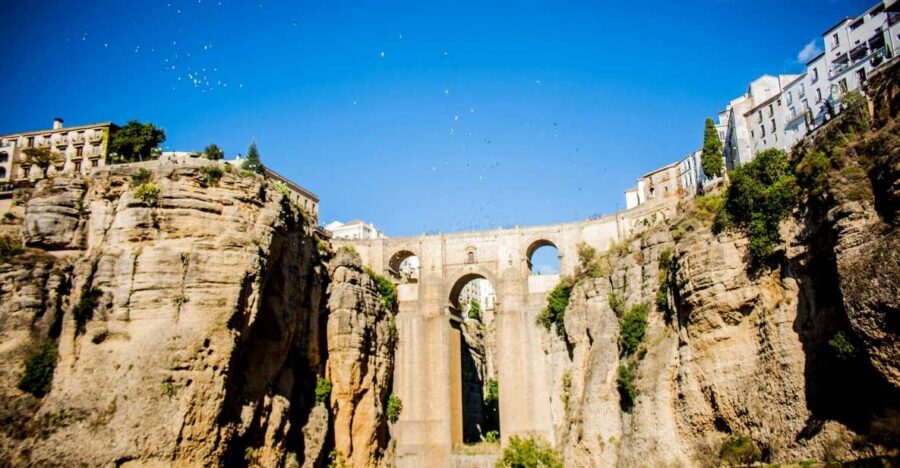 One Day Trip Ronda From Málaga - The Journey to Ronda: What to Expect