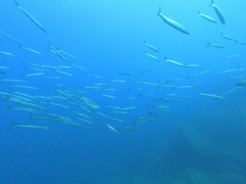 Open Water Diver 1st level course in Villasimius - Site and Itinerary Breakdown