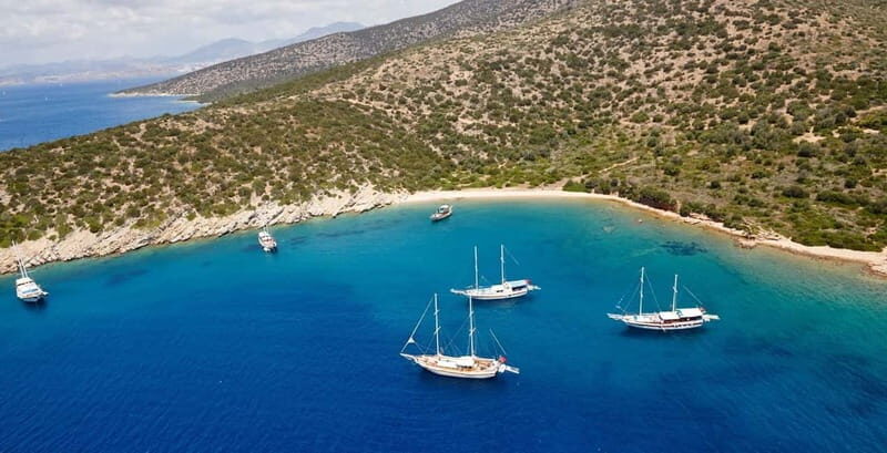 Orak island Boat Trip Bodrum - The Real Value of the Experience