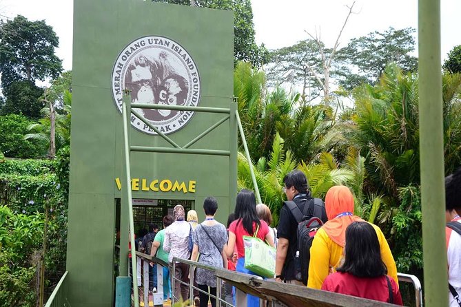 Orang Utan Island and Perak Tong Cave Temple Day Tour from Kuala Lumpur - Introduction: An Exciting Day Out Combining Wildlife and Culture