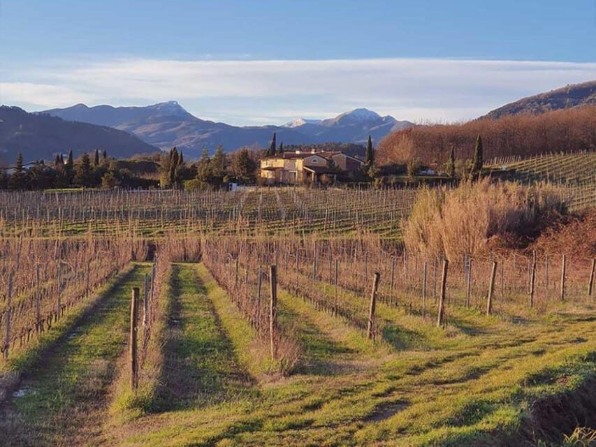 Organic and Biodynamic Winery Tour and Tasting in Lucca - The Experience in Detail: What to Expect