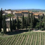 Organic Wine and Food Tasting at Historic Fattoria Majnoni - The Practicalities