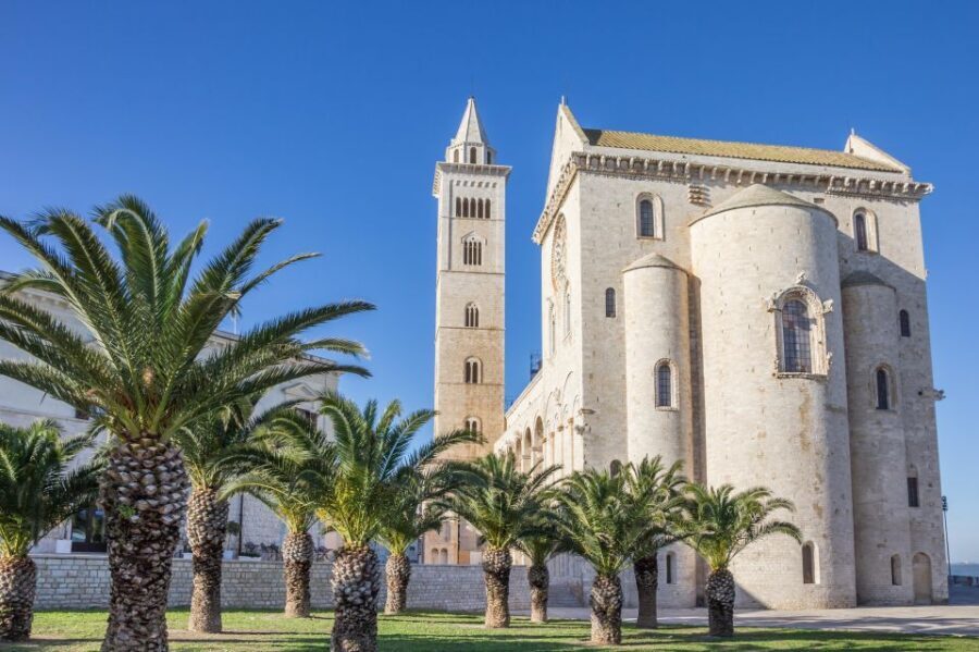 Organized tour from Bari to Castel del Monte - Real-World Insights from Past Travelers