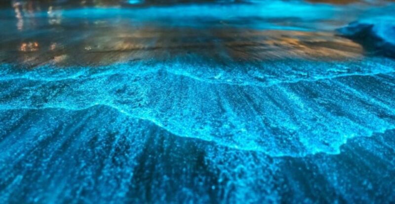 Orlando: Bioluminescence Kayak Adventure - Orlando: Bioluminescence Kayak Adventure – A Natural Light Show in Florida