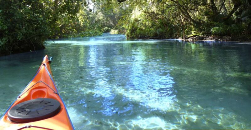 Orlando: Small Group Rock Springs Run Kayak Tour - Introduction