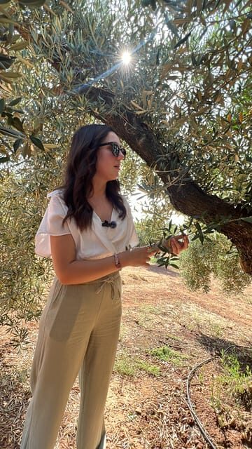 "Oro Bailén": Tour of Oro Bailen Grove + Mill + Tasting - Who Will Love This Tour?