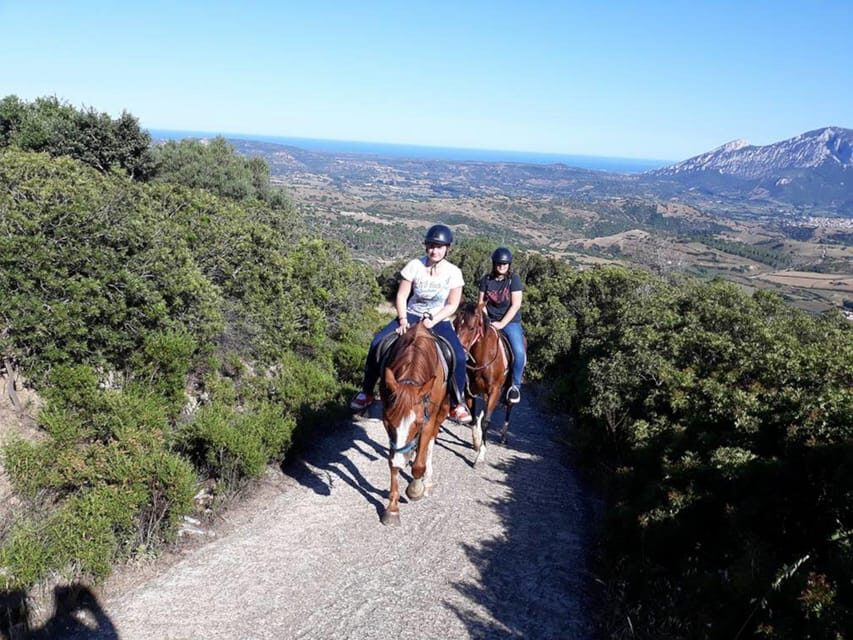 Orosei: horse riding on the beach - Itinerary Breakdown