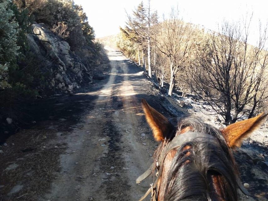Orosei: horseback riding in the Irgoli area - Value and Practicalities