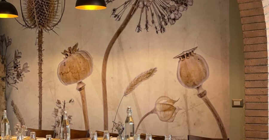 Orvieto Best Cooking Class, Enjoy Cooking Real Italian Food - Who Will Love This Experience?