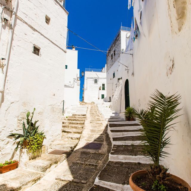 Ostuni: Private City Walking Tour with Local Guide - The Value of a Private Guided Tour