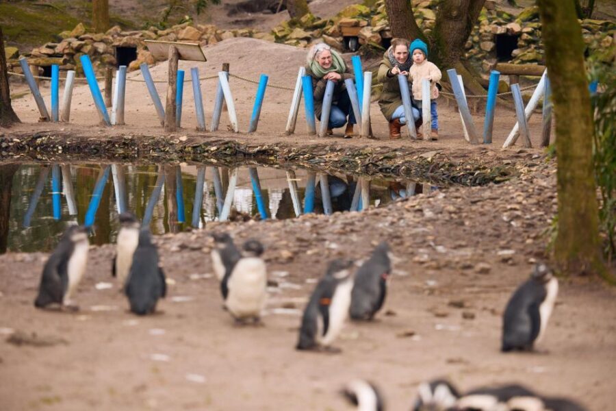 Overloon: ZooParc Entrance Ticket - Who Should Visit ZooParc Overloon?
