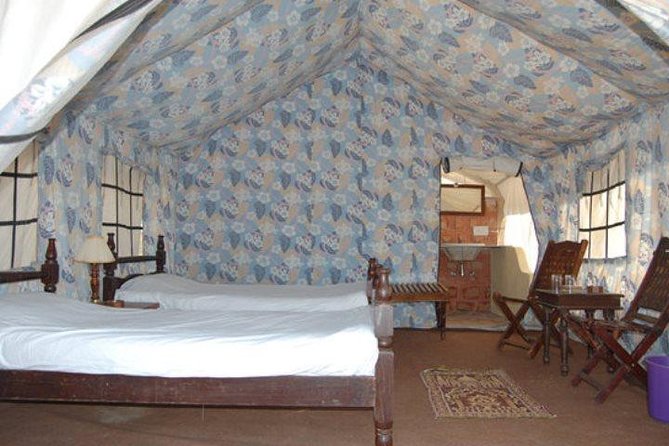 Overnight Stay In Swiss Tent With Camel Safari & Folk Dance - A Closer Look at the Camel Safari in Jodhpur