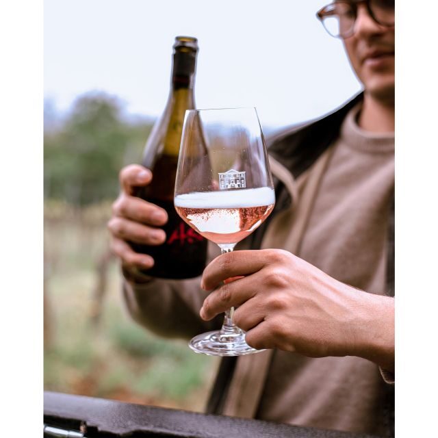 Ozzano Emilia: Guided Cellar Walking Tour with Wine Tasting - Authentic, Friendly, and Informative