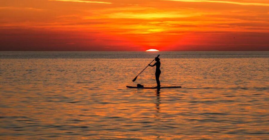 Paddle Board Rental: Glide on the Water with Ease - The Equipment and Facilities