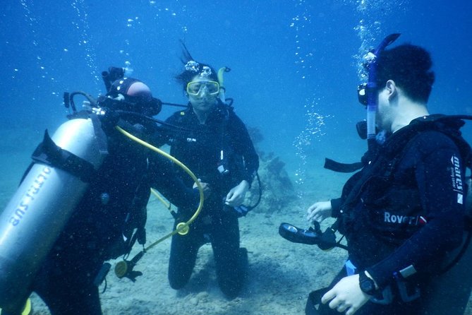 PADI Discover Scuba Diving - introduction program for beginners - Why We Think This Tour is Worth Considering
