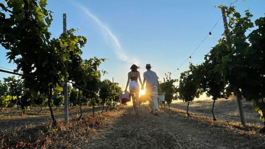 Palau: picnic in a Gallura estate - Who Will Love This Experience?