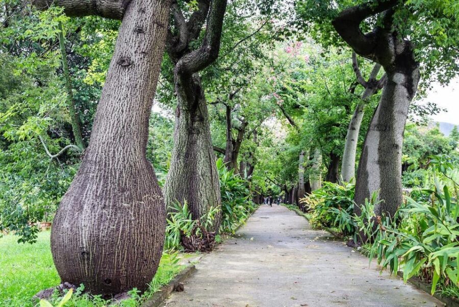 Palermo: Botanical Garden Entry Ticket and Palermo Audio App - Frequently Asked Questions