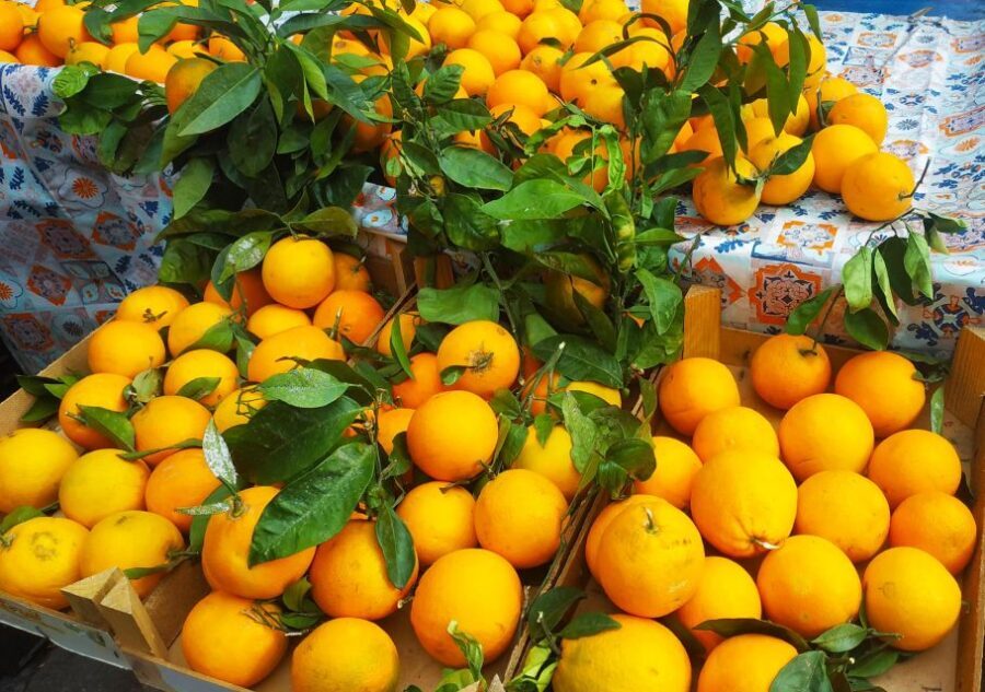 Palermo: Street Food Walking Tour with Local Guide & Tasting - What to Expect on the Tour