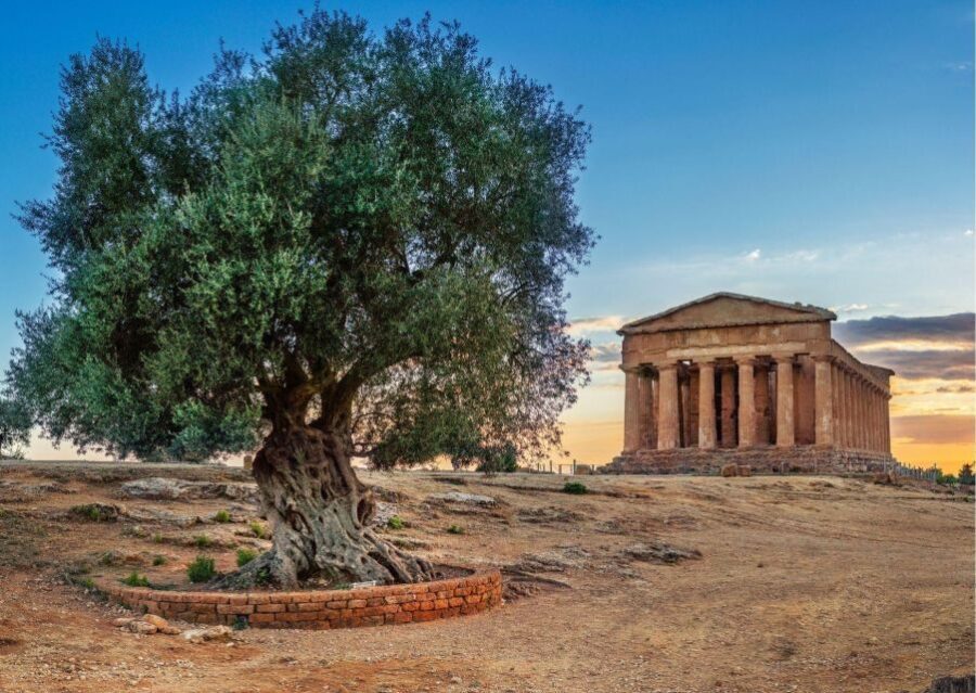 Palermo to Taormina: stop Valley of Temples and Roman Villa - Transportation and Group Size