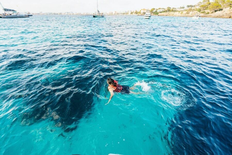 Palma Bay: Speedboat Discovery Tour - The Sum Up: Who Is This Tour For?