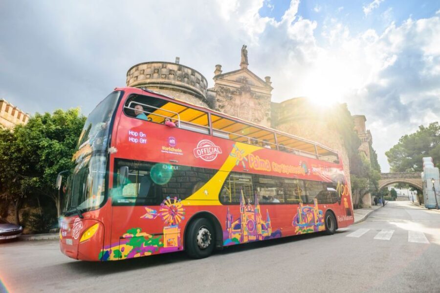 Palma de Mallorca: City Sightseeing Hop-On Hop-Off Bus Tour - Who Will Get the Most Out of This Tour?