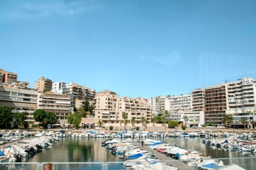Palma de Mallorca: Full-Day Tour with Departure Options - The Highlights and Drawbacks