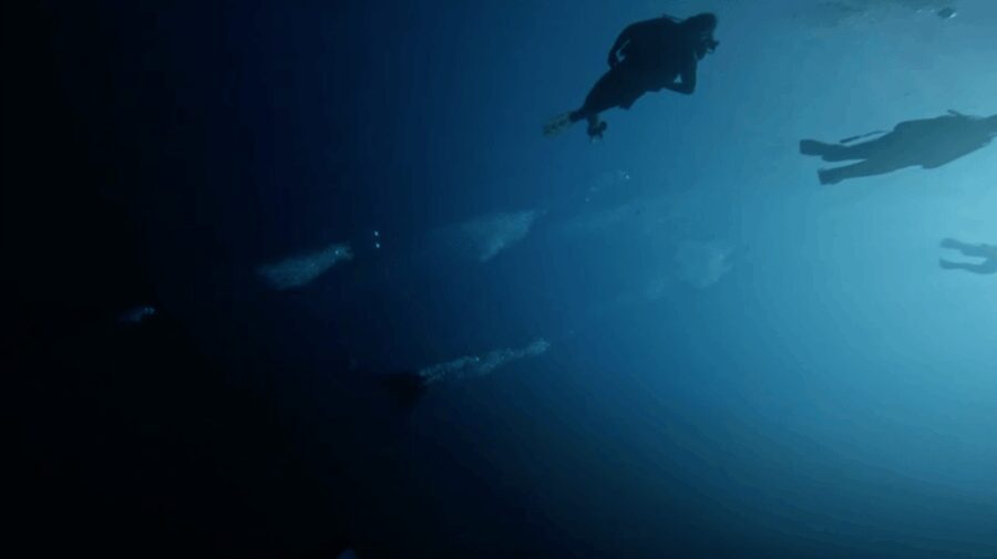 Palma de Mallorca: PADI Open Water Diver Course - The Certification and Its Benefits