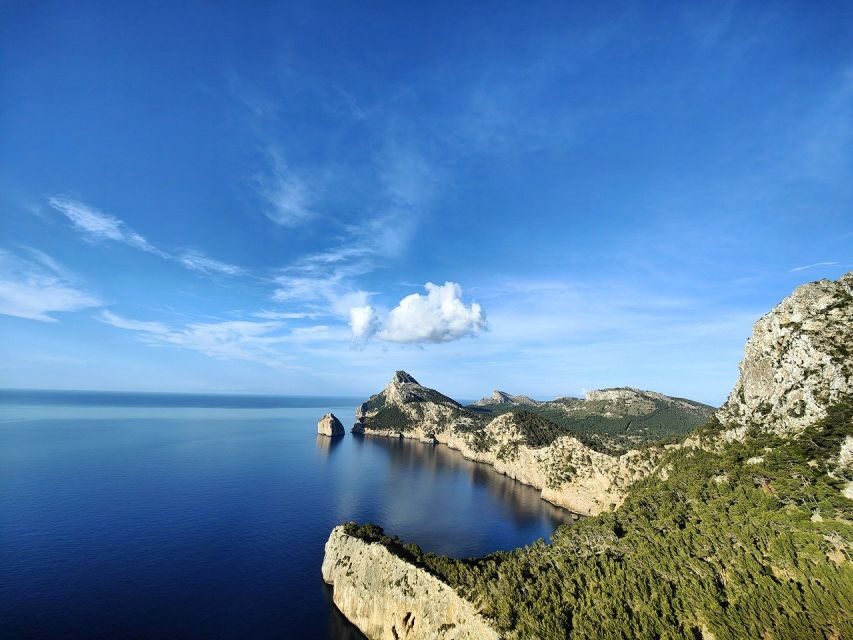 Palma de Mallorca: Son Juliana Wine Experience and Tasting