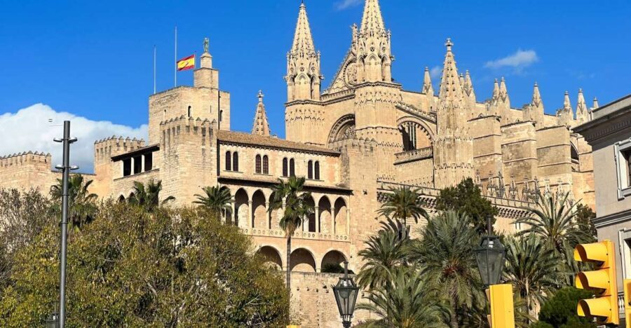 Palmas sightseeing highlights in a private and exclusive way - Who Should Book This Tour?