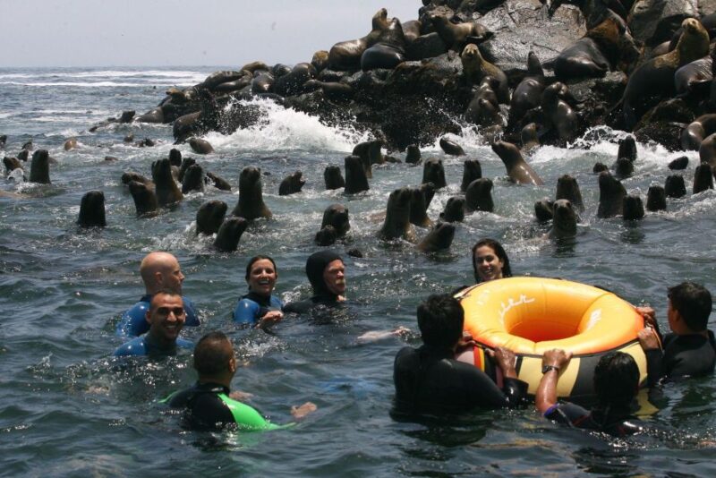 Palomino Islands Yacht Tour and swim alongside the sea lions - Key Points