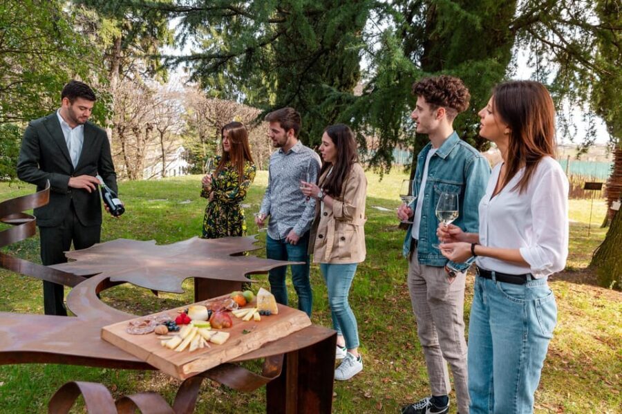 PARCO DELLA FILANDETTA WINE & ART FARM : ART&NATURE TOUR - Inside the Cellars: Behind the Scenes of Wine Production