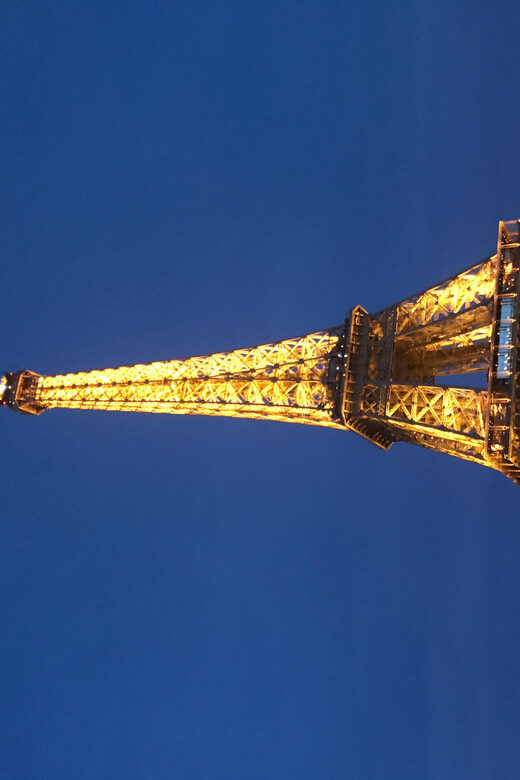 Paris : croisière privée Seine, bateau moderne - 2 heures - The Itinerary – What to Expect