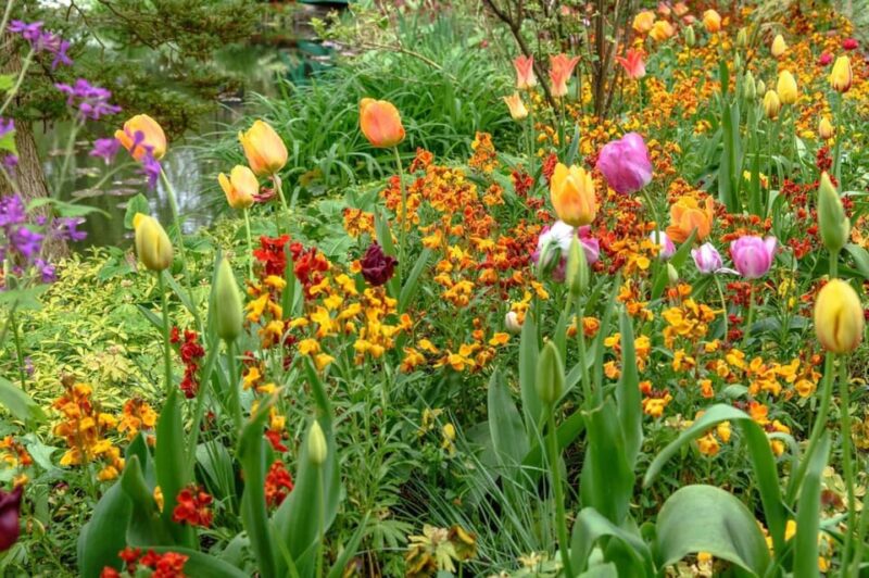 Paris: Giverny Private Half-Day Trip to Monet's Garden - Key Points