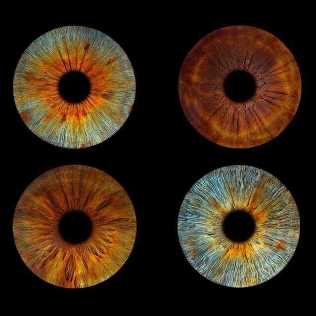 Paris: Professional Iris Photography with a Framed Print - The Itinerary: Simple, Straightforward, Focused