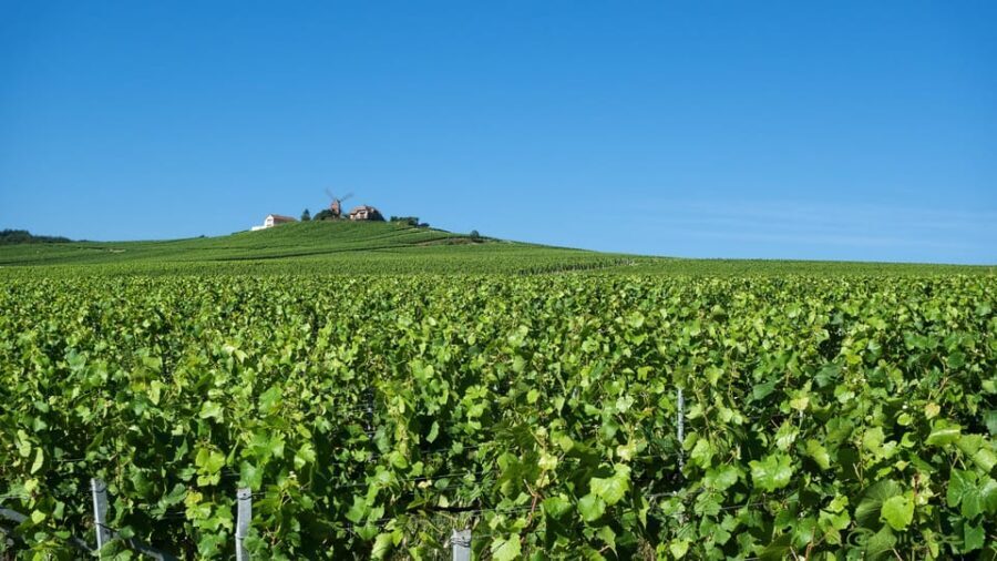 Paris VIP: Champagne Region Private Chauffeur Driven 12hrs - Practical Considerations & Tips