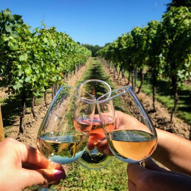 Parma: Cheese, Ham, & Wineyard Tour with Tastings - Evaluating the Value
