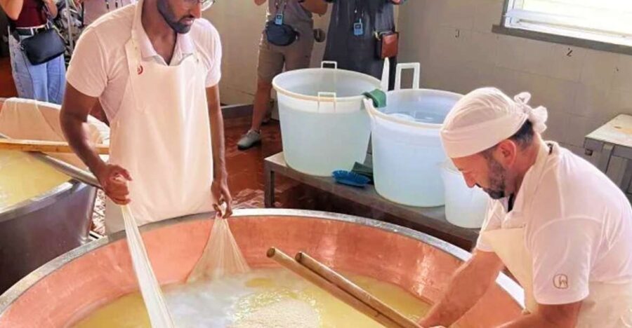 Parma: Traditional Cheese Factory Visit with Tasting - A Closer Look at the Experience