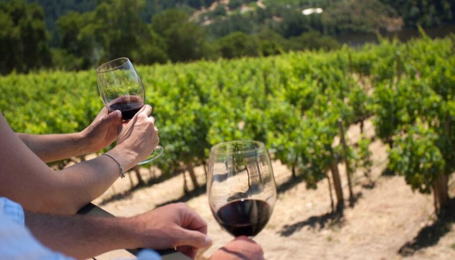 Parma: Winery Tour and tasting - Exploring the Tour Itinerary in Detail