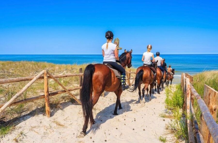 Paros: Morning Island Horseback Riding Adventure - What to Expect on Your Horseback Ride