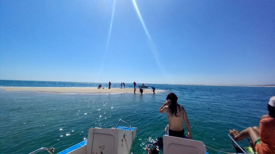 Passeio de barco na Ria Formosa 3H - An In-Depth Look at the Ria Formosa Boat Tour